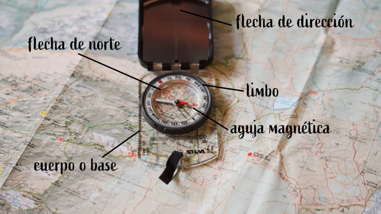 Cómo Funciona Una Brújula Y Cómo Usarla Para Orientarte – OPHL